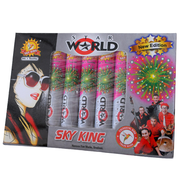 White House/Star World/Sun Rise/Gold coin (5 Pcs) – FestiBlast.Com